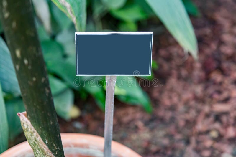 Direction Pointer without Words Stock Image - Image of sign, plate ...