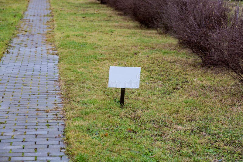 Direction Pointer without Words Stock Photo - Image of banner ...