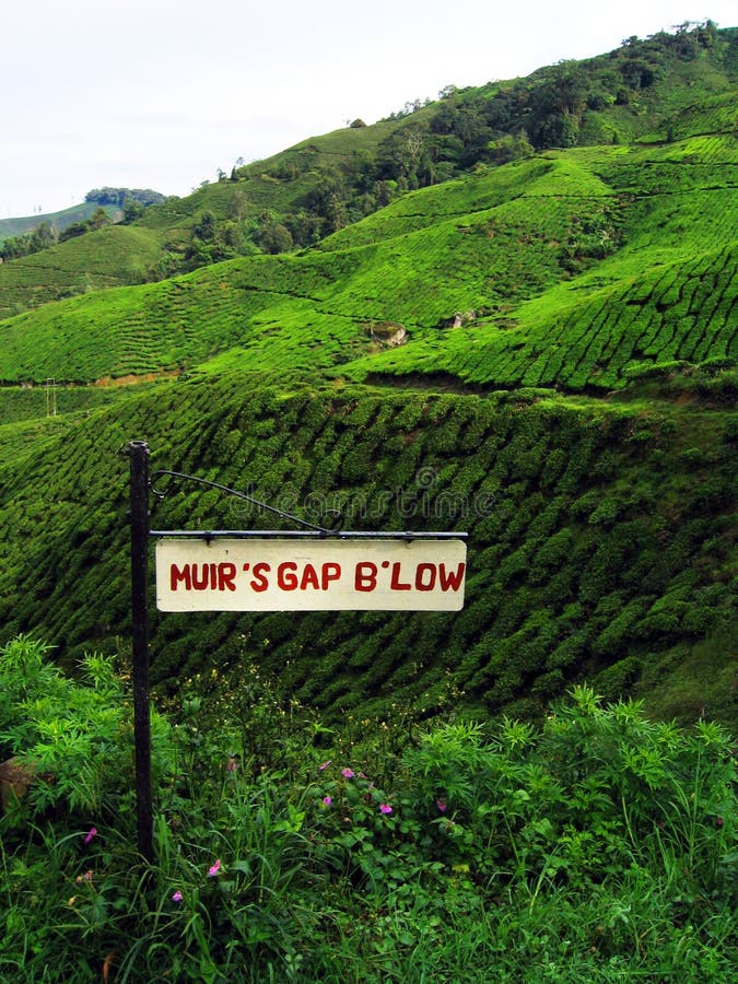 Cameron Highland Signs Malaysia Stock Photos - Free & Royalty-Free ...