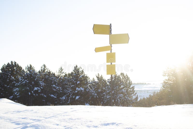 Direction Signs in a Pine Forest in Winter Stock Image - Image of ...