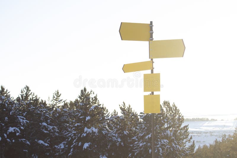 Direction Signs in a Pine Forest in Winter Stock Photo - Image of trees ...