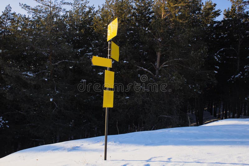 Direction Signs in a Pine Forest in Winter Stock Image - Image of ...