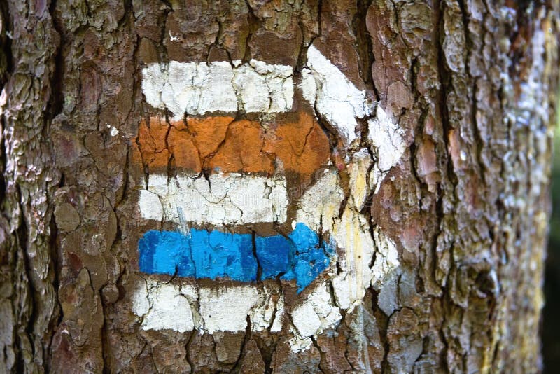 Direction Signs Route Drawn on the Tree Stock Photo - Image of ...