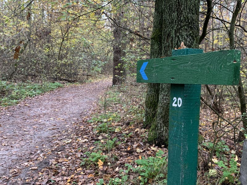 Directional Sign on a Forest Trail. Pointer at the Crossroads. Concept ...