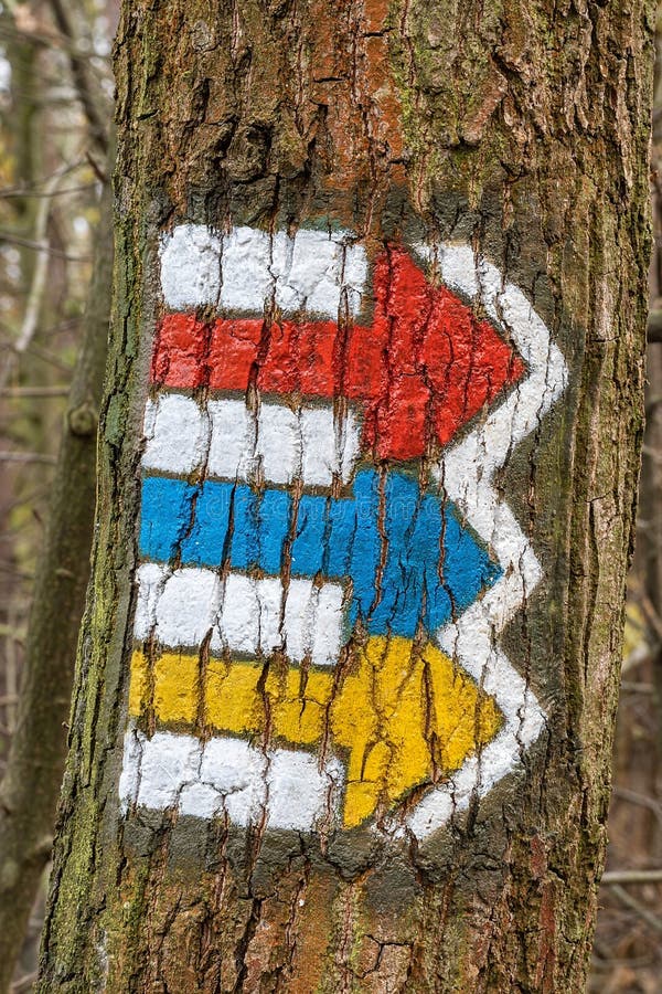 Directional Tourist Sign on a Tree Trunk Tree Trunk Stock Image - Image ...