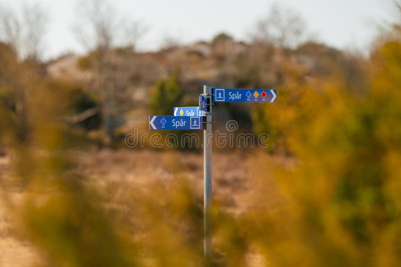Directional Trail Signpost with Blue Arrows.. Stock Image - Image of ...