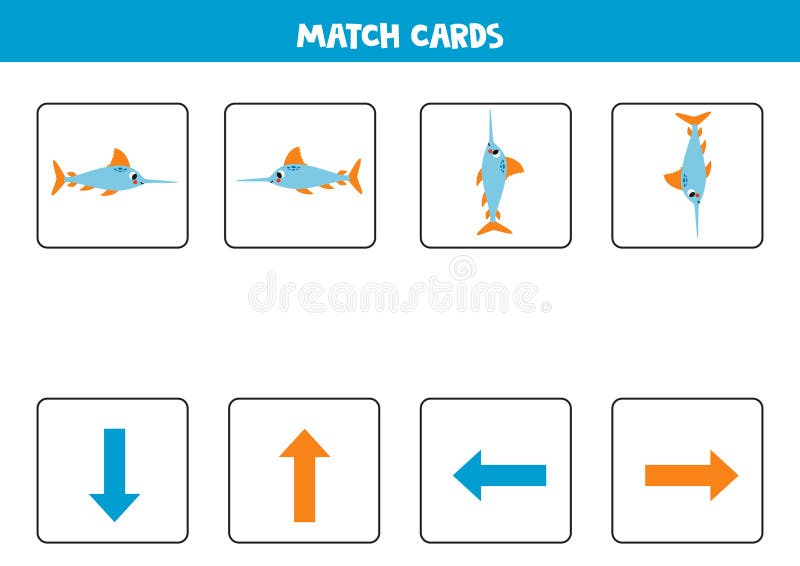 Left, Right, Up or Down. Spatial Orientation with Cute Swordfish Stock ...
