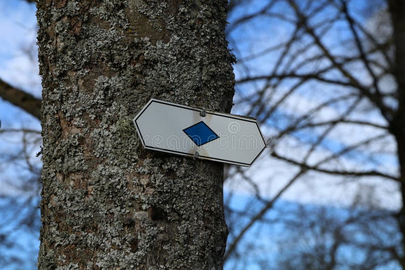 Directions of Movement Sign on Trees in the Forest Stock Image - Image ...