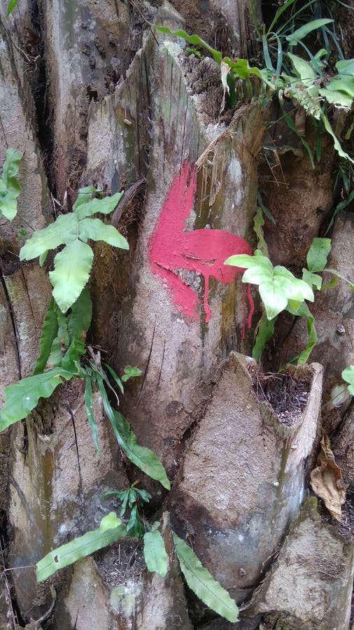 Signs with Arrows Pointing in Opposite Directions, One Labeled Right ...