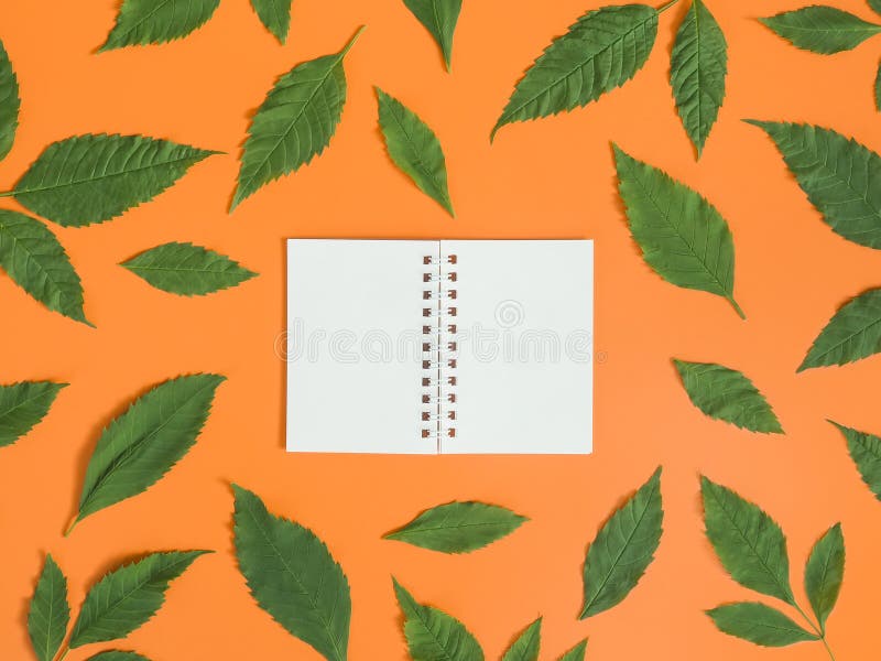 Directly Above View of Blank Notebook with Green Leaf on Orange ...