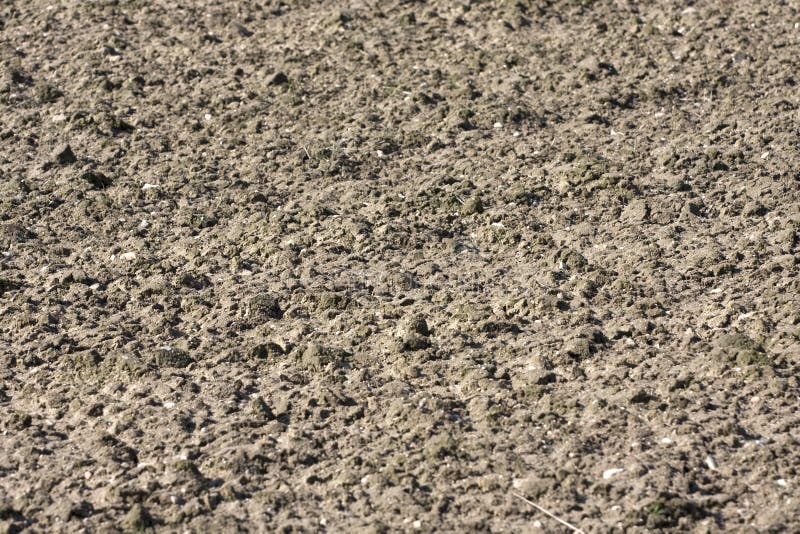 568 Baseball Dirt Texture Stock Photos - Free & Royalty-Free Stock ...