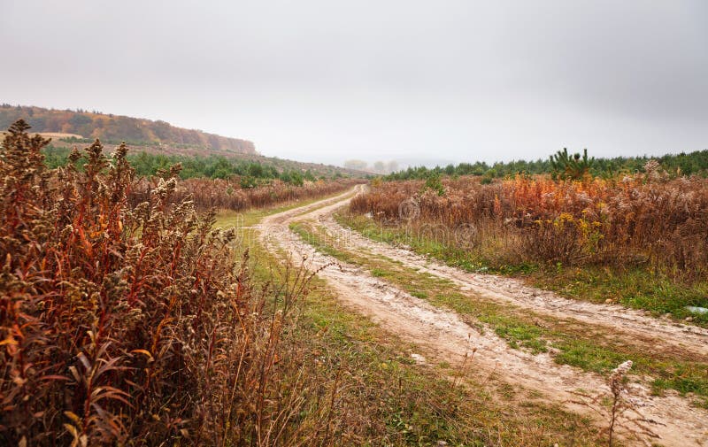Dirt autumn road stock photo. Image of curve, beauty - 43013722