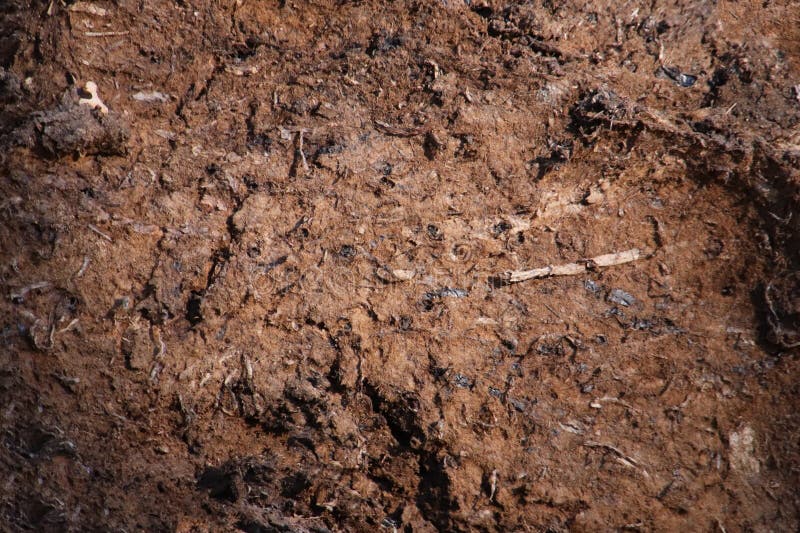Loose Soil Texture. Dirt Backdrop Stock Photo - Image of texture ...