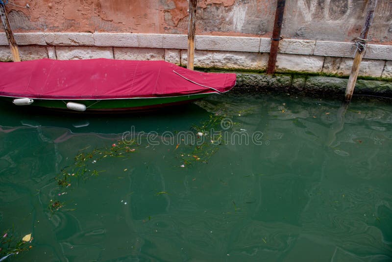 Venice Canal Pollution Stock Photos - Free & Royalty-Free Stock Photos ...
