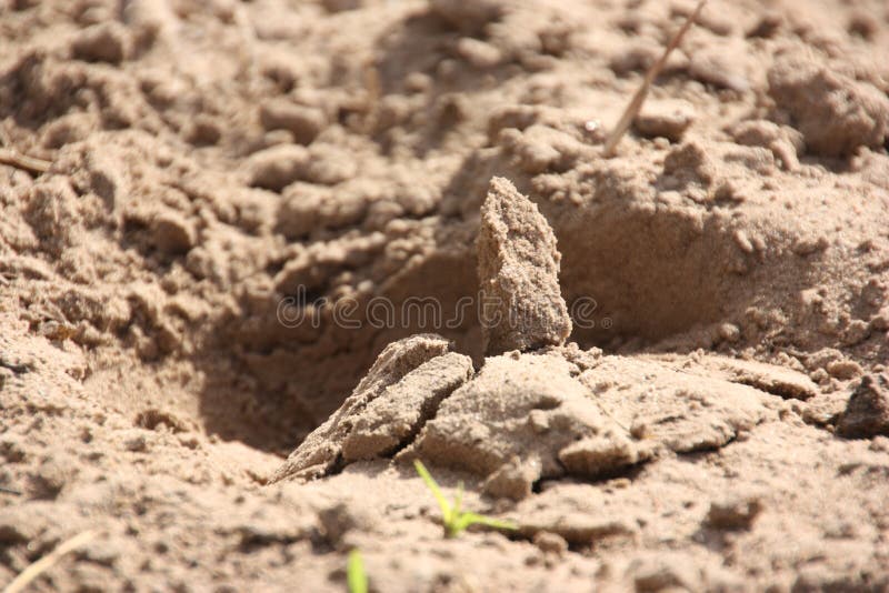 Dirt stock photo. Image of dirt, brown, details, macro - 57455794