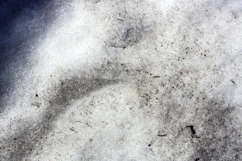 Dirt Covered Snow Closeup Texture Stock Image - Image of abstract ...