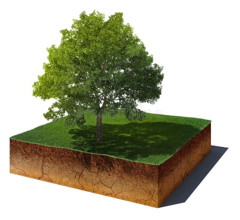 Dirt Cube with Tree Isolated on White Background Stock Illustration ...