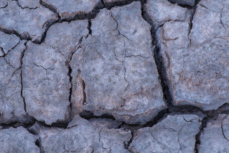 Dirt and dry land texture stock image. Image of backdrop - 67584397