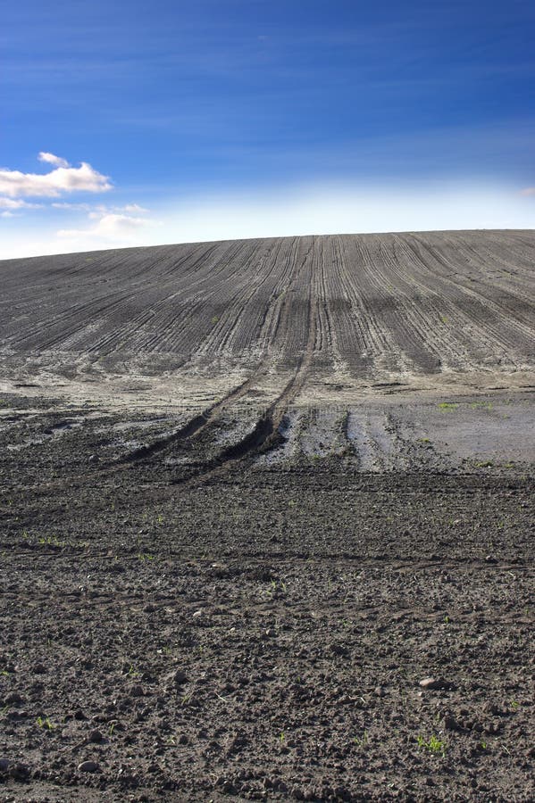 Dirt Fields Picture. Image: 1973631