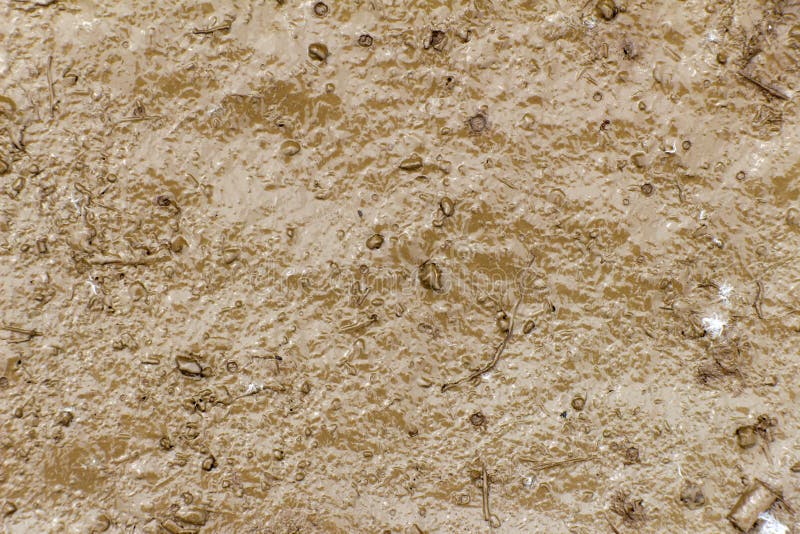 Dirt Flat and Smooth Drying after Rain. Stock Photo - Image of dirt ...