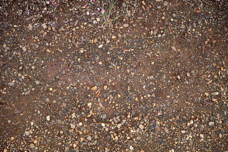 Dirt floor stock photo. Image of floor, dirt, stone, natural - 85095504
