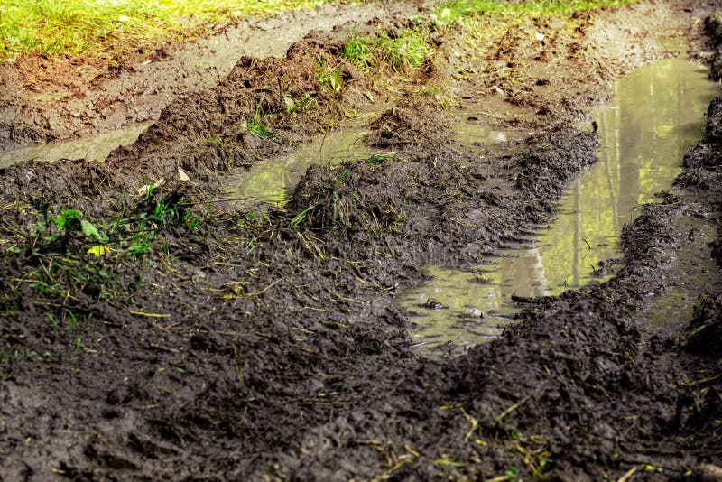 Dirt Forest Road in the Forest, Big Mud Puddle Stock Image - Image of ...