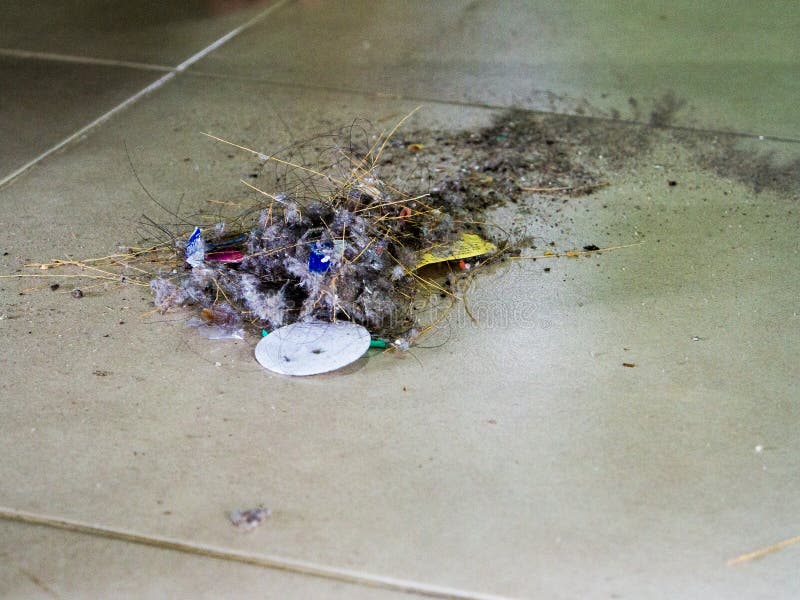 Dirt, Garbage Dump, Caused by Sweeping the House Clean. Stock Photo ...