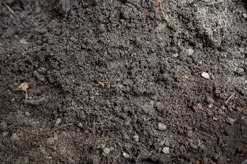 Dirt Ground in the Backyard Texture Background Stock Image - Image of ...
