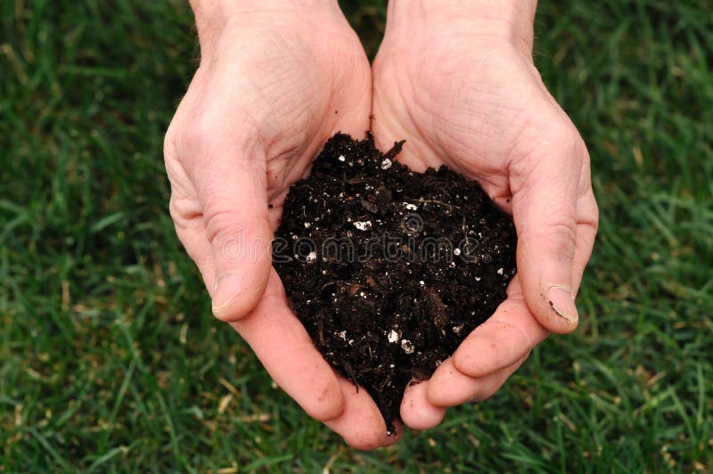 Dirt in Hands stock photo. Image of hands, nature, green - 23972488