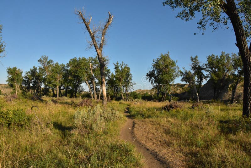 Dirt Hiking Path through a Remote Area Stock Image - Image of pathway ...