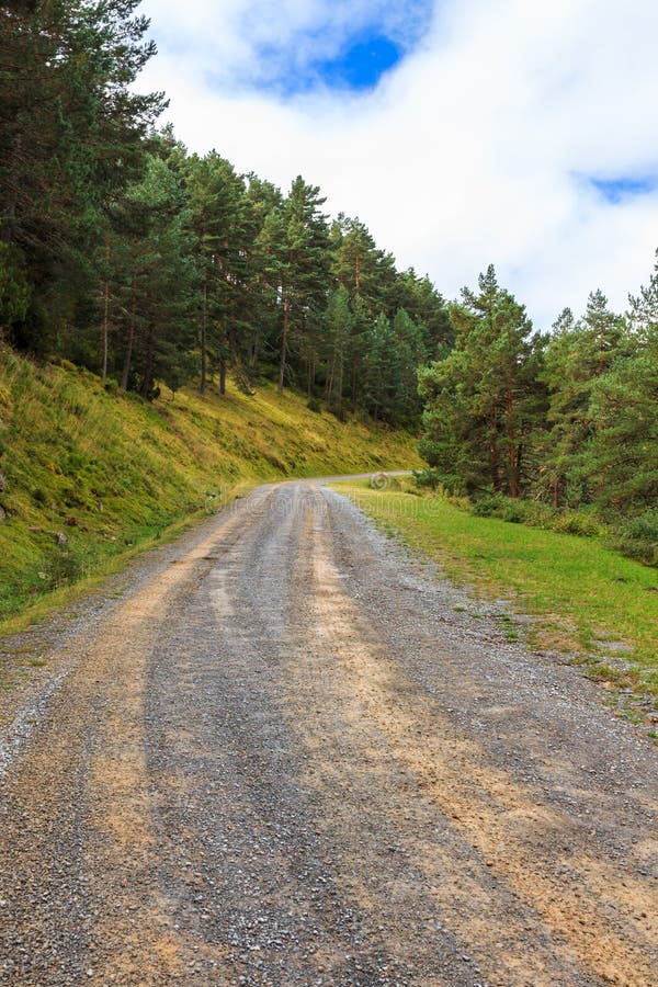 Dirt Mountain Track with Spruce Forest Stock Photo - Image of deep ...