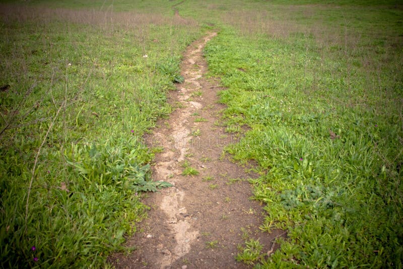 Dirt path stock photo. Image of nature, road, field, lawn - 13050020