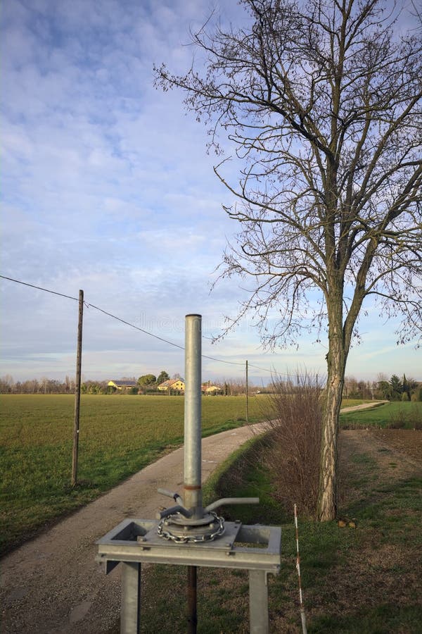 Dirt path with a tree stock image. Image of forest, leaf - 304227505