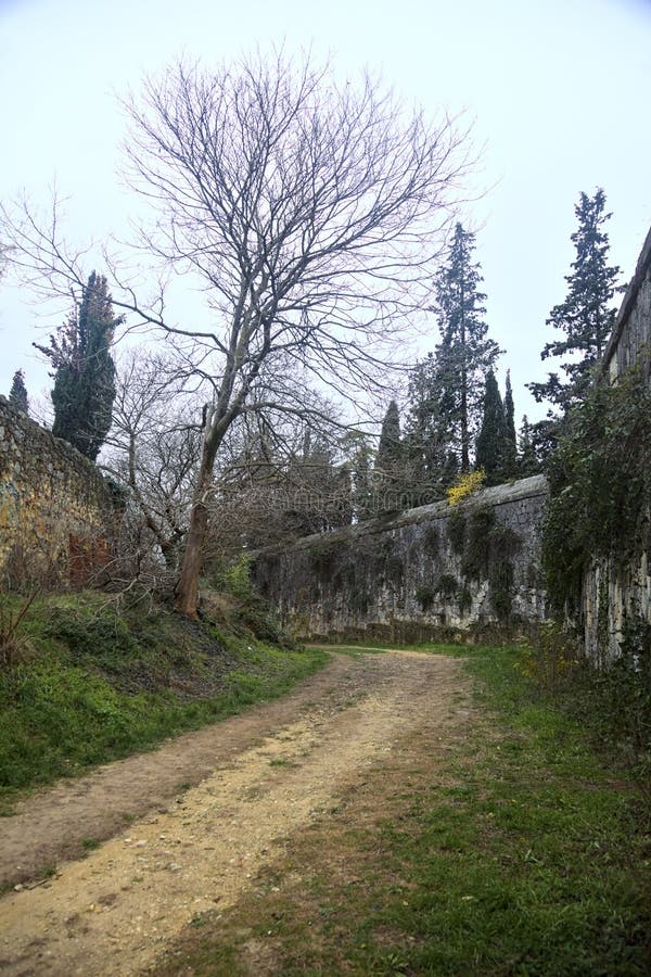 Dirt Path at the Beginning of a Grove in a Park Bordered by Stone Walls ...