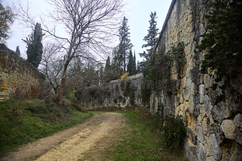 Dirt Path at the Beginning of a Grove in a Park Bordered by Stone Walls ...