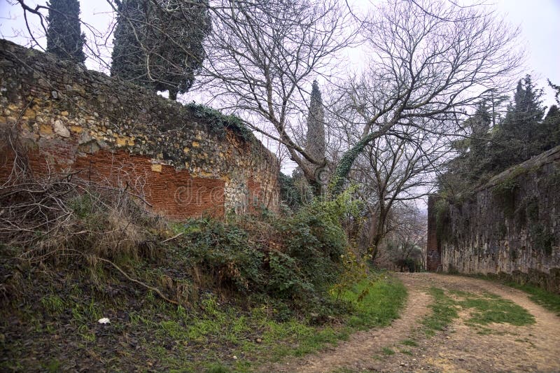 Dirt Path at the Beginning of a Grove in a Park Bordered by Stone Walls ...