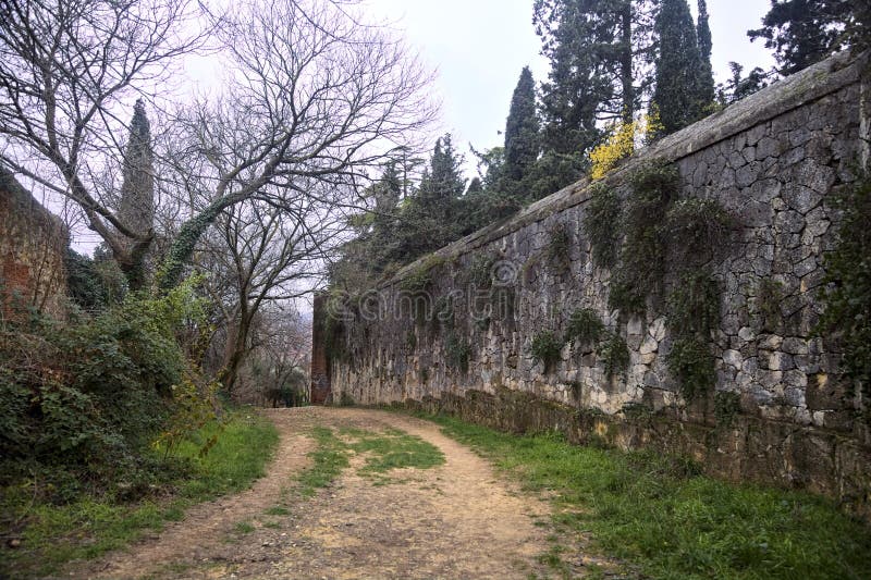 Dirt Path at the Beginning of a Grove in a Park Bordered by Stone Walls ...