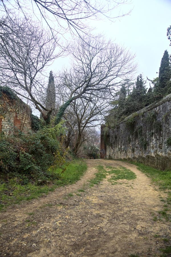 Dirt Path at the Beginning of a Grove in a Park Bordered by Stone Walls ...