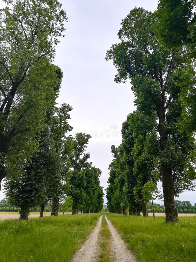 Dirt Path through Countryside Stock Photo - Image of countryside, track ...