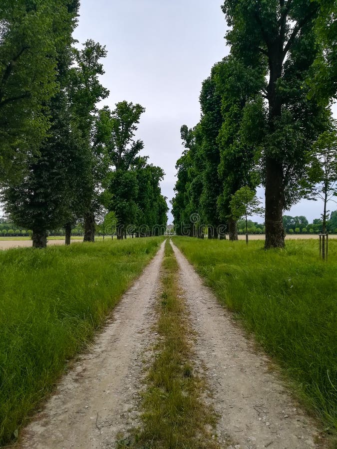 Dirt Path through Countryside Stock Image - Image of meadow, track ...