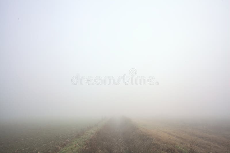 Dirt Path between Fields on a Foggy Day Stock Photo - Image of foggy ...