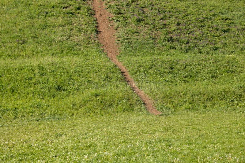 Dirt path in the grass stock image. Image of field, agriculture - 320912431