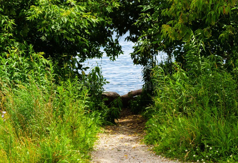 Dirt Path Leading To Water through Shrubs Stock Image - Image of empty ...
