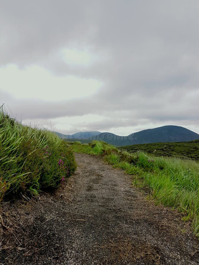 Dirt Path Leading Up the Mourne Mountains Stock Photo - Image of ...