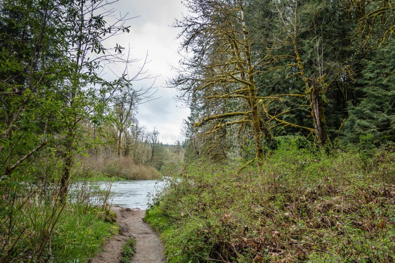 Path To the River stock image. Image of nature, northwest - 116477005
