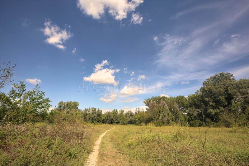 Dirt Path in the Middle of a Clearing in a Park on a Sunny Day in the ...