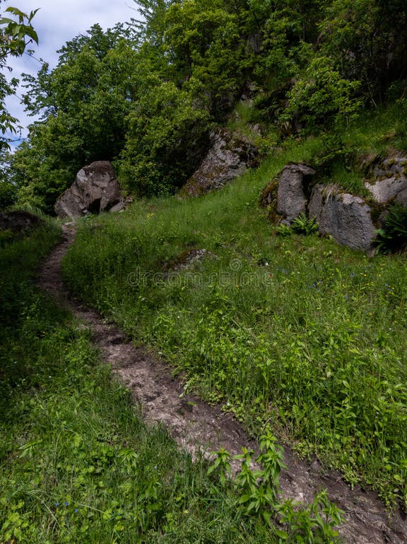 A Dirt Path in the Middle of a Grassy Field with Rocks and Trees Stock ...