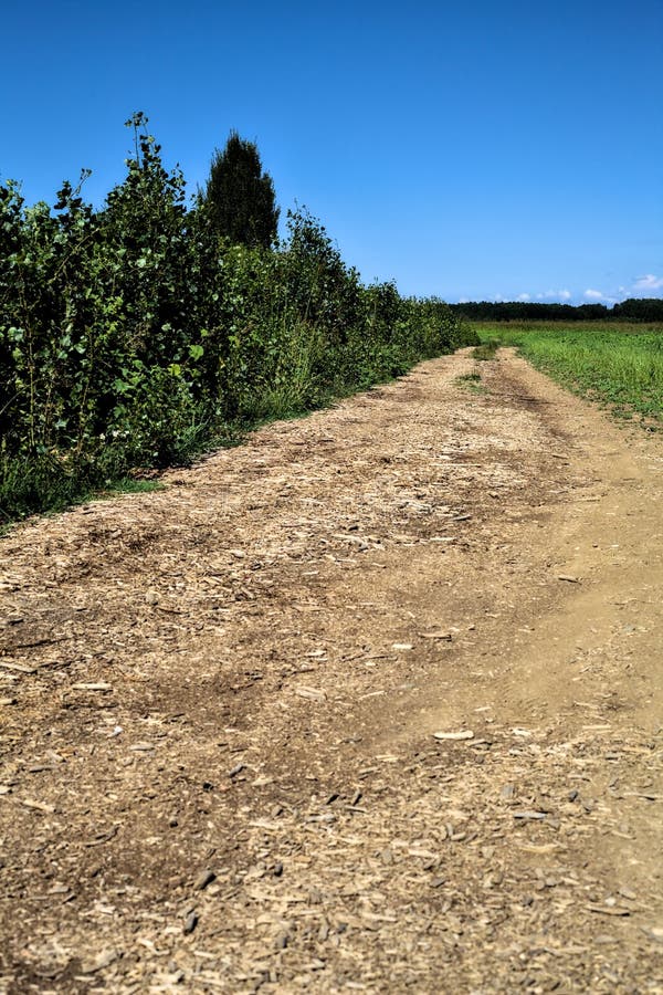 Dirt Path with Puddles in the Countryside after a Rainfall in Autumn ...