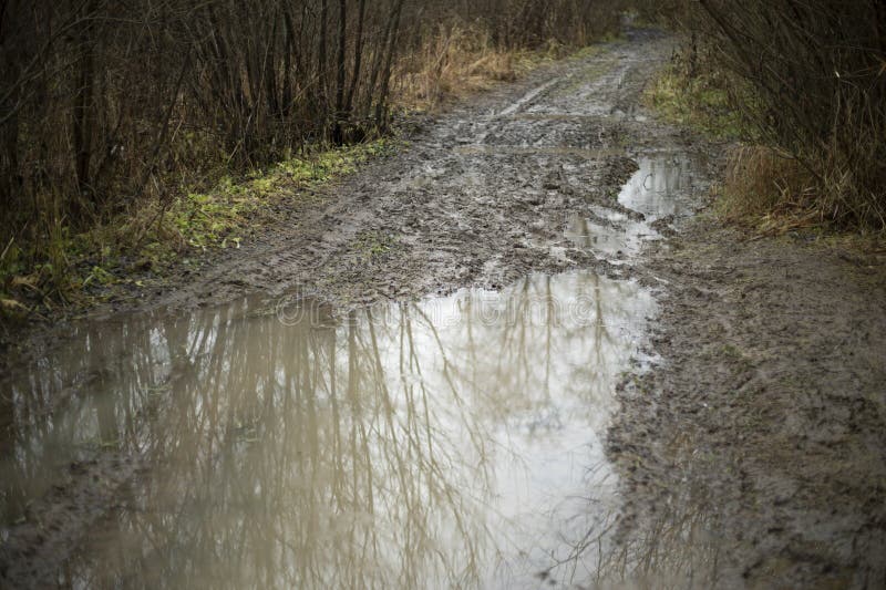 Dirt Path. Path in the Rain Stock Photo - Image of vehicle, rough ...