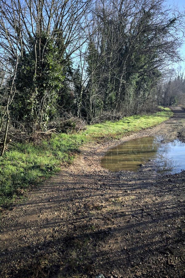 Dirt path with puddles stock photo. Image of leaf, countryside - 304055122